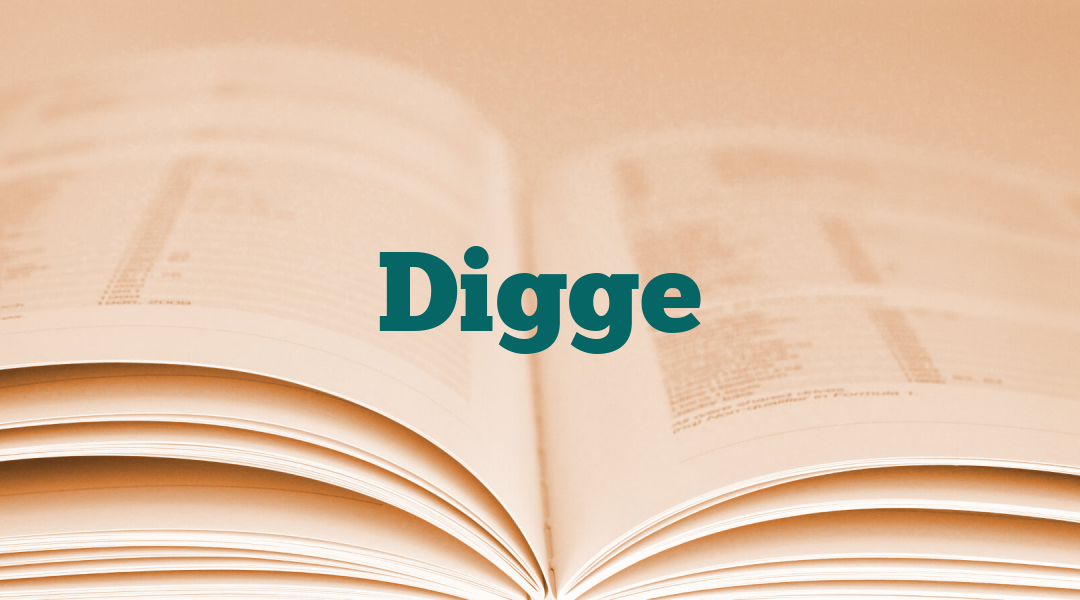 Hva betyr digge?