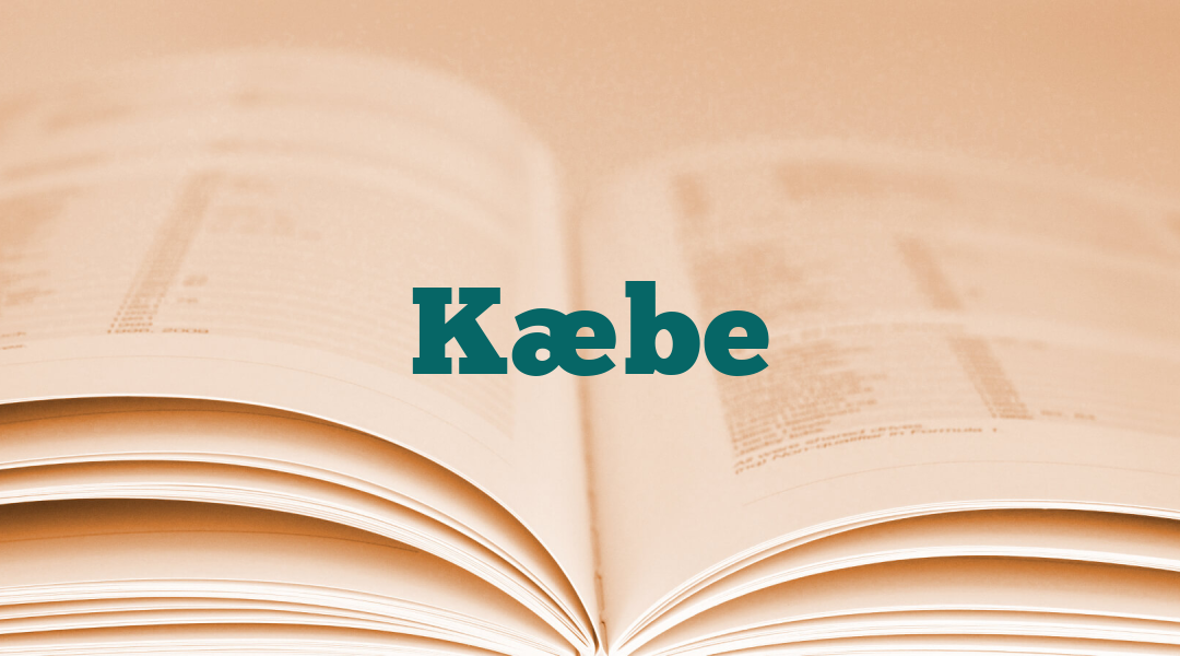Hva betyr Kæbe? Finn svaret hos Slangordboka